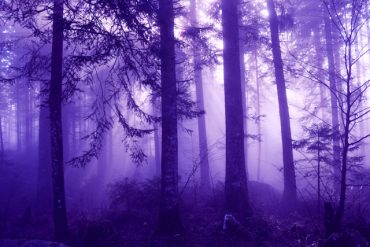 Color Gel Photography: Tips for Spectacular Shots