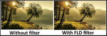 What is A FLD Filter: Your Ultimate Guide | Ehab Photography